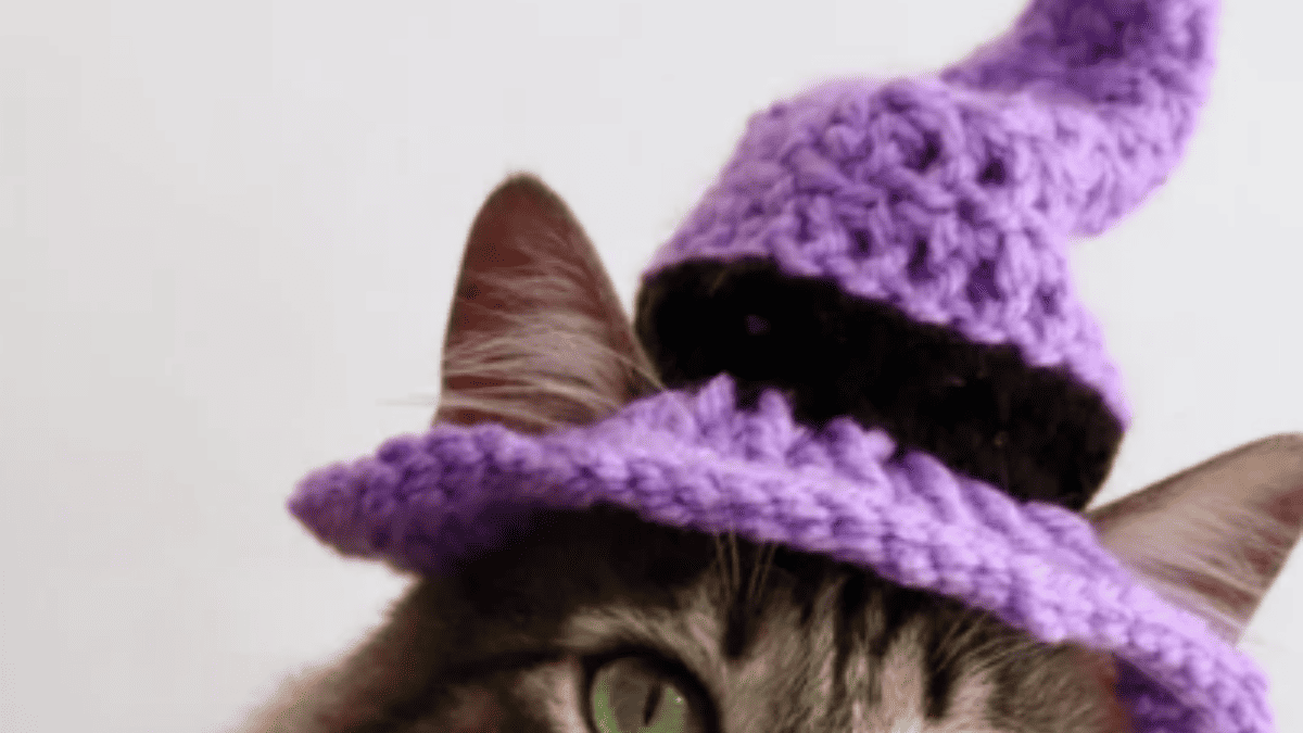 Hysterical Cat Hat Crochet Patterns - Fun Crochet Patterns